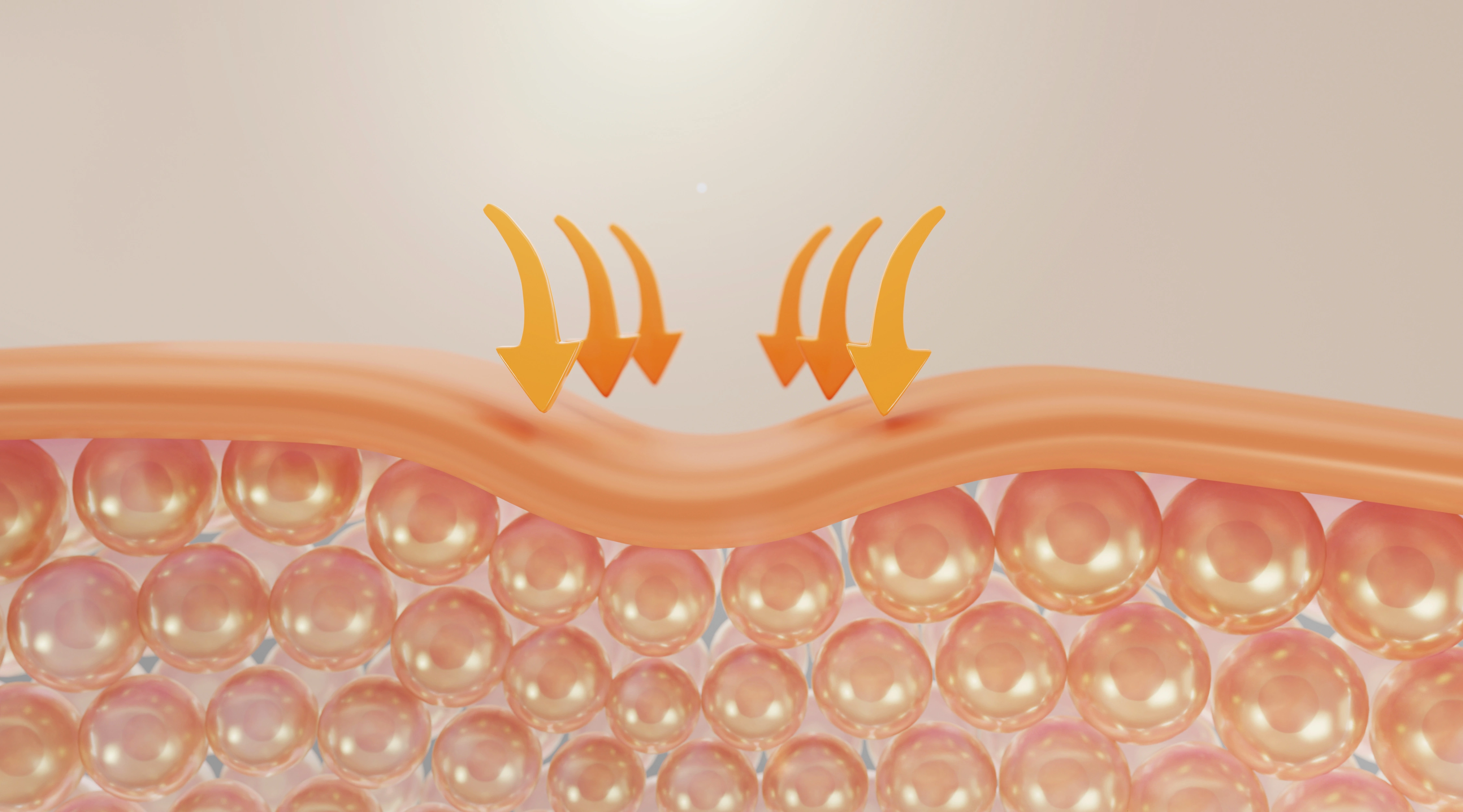 Elastin Benefits | Skin Firmness & Elasticity | Anti-Aging Protein ...